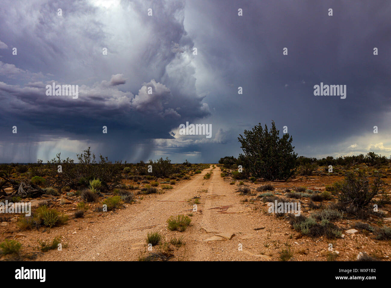 Arizona dirt road leading to a monsoon storm Stock Photo - Alamy