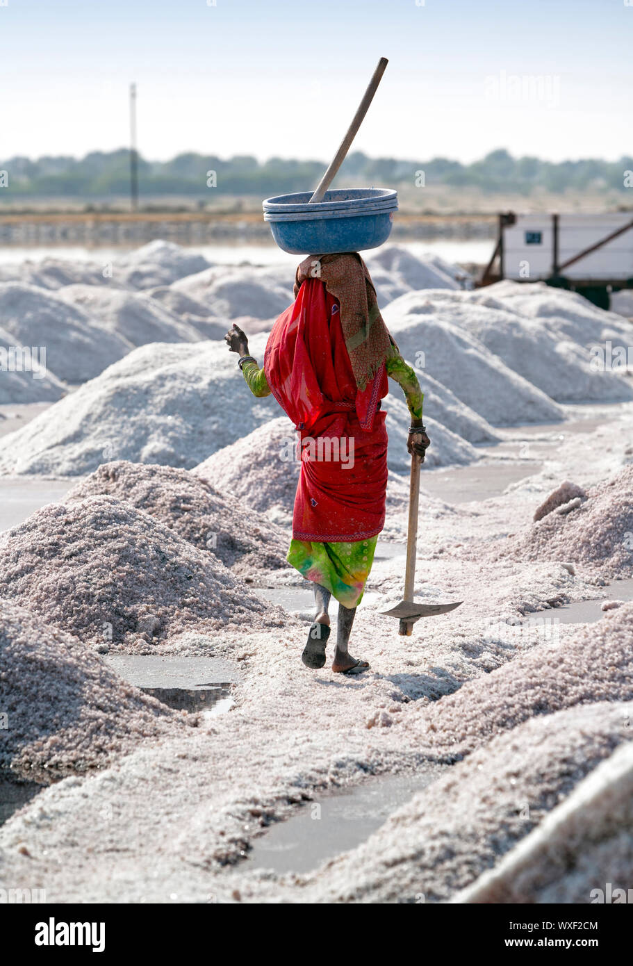 SAMBHAR LAKE TOWN-NOVEMBER 19: An unidentified Indian woman working on ...