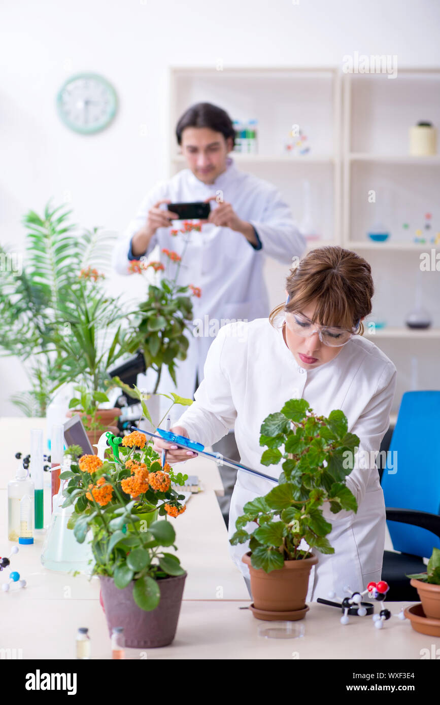 Two young botanist working in the lab Stock Photo - Alamy