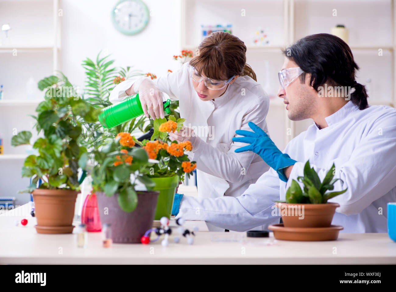 Two young botanist working in the lab Stock Photo - Alamy