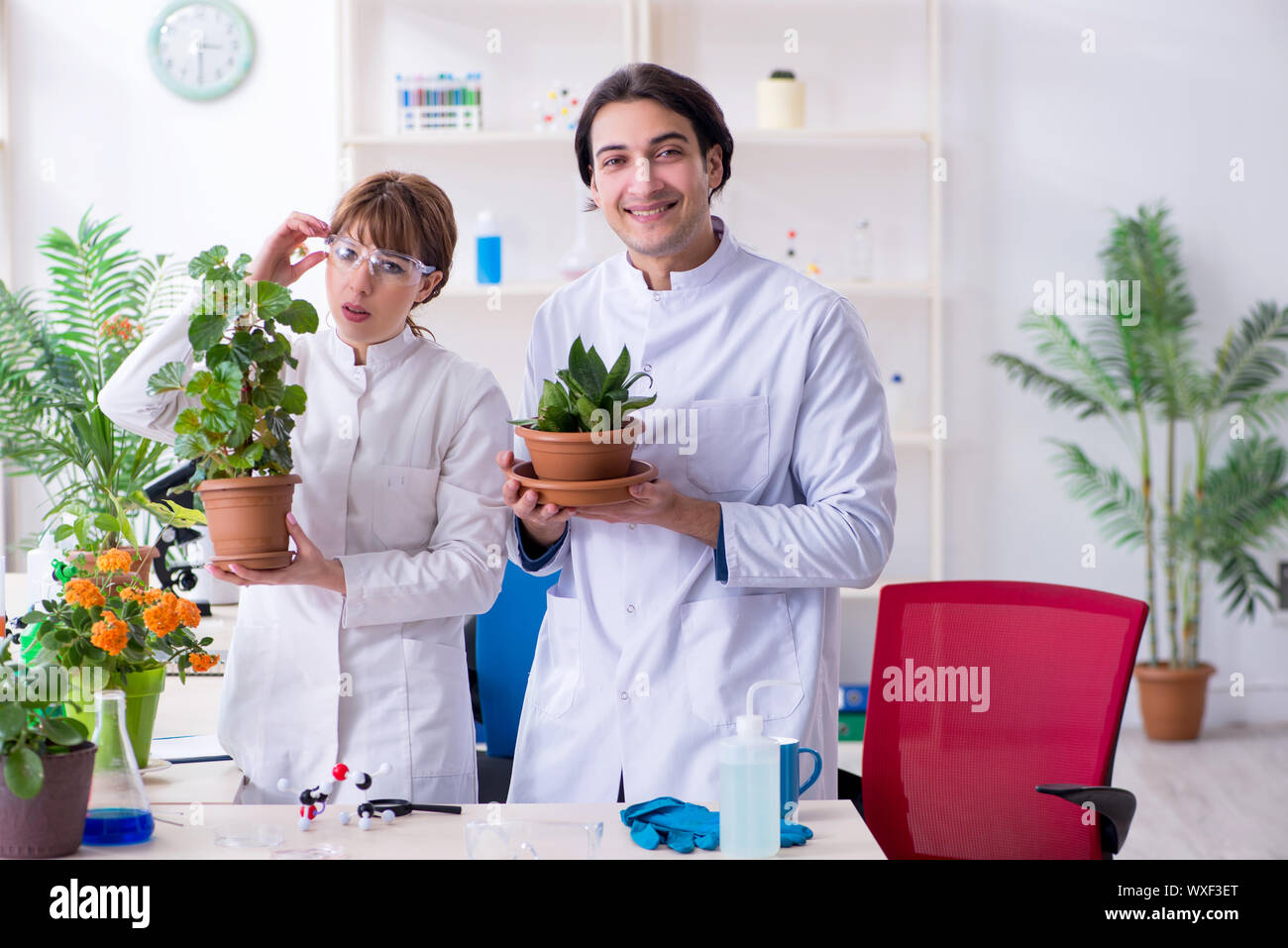 Potted seedling in lab hi-res stock photography and images - Alamy