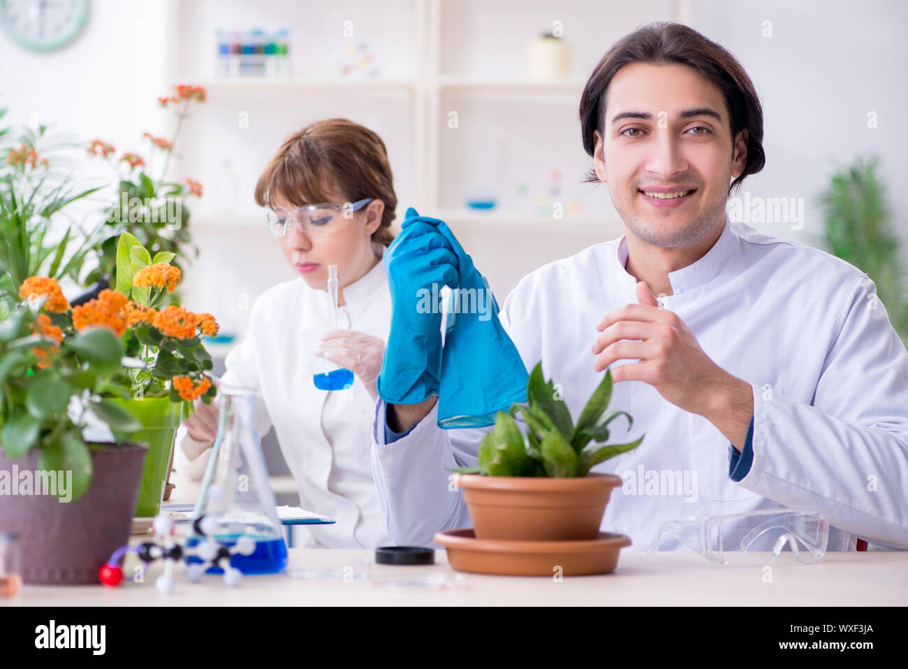 Two young botanist working in the lab Stock Photo - Alamy