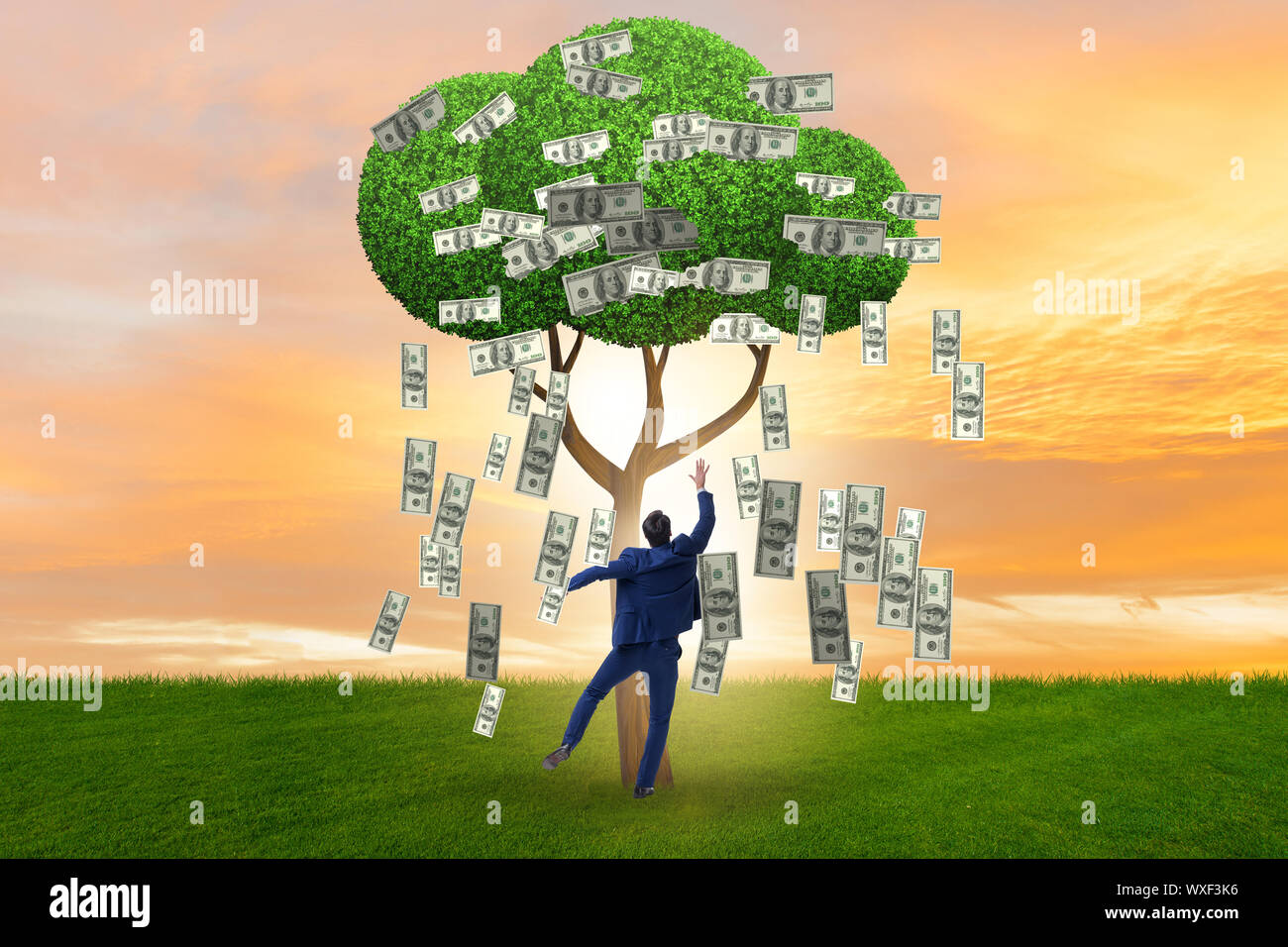 Businessman with money tree in business concept Stock Photo - Alamy