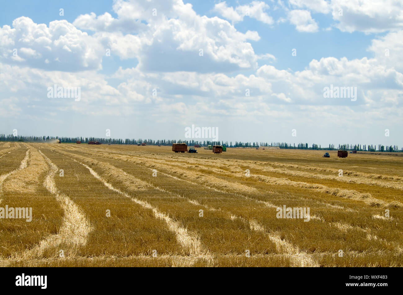 Skyline harvester hi-res stock photography and images - Alamy