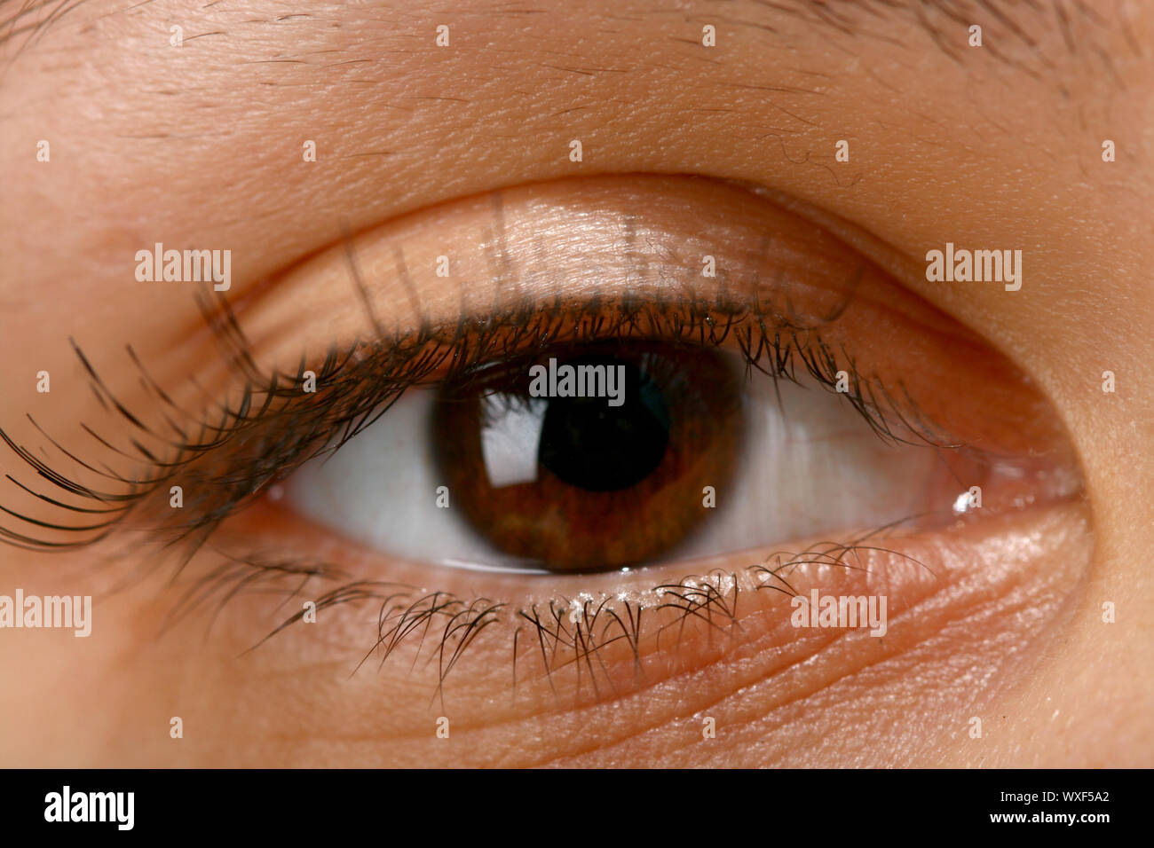 girl eye look around for find something Stock Photo - Alamy
