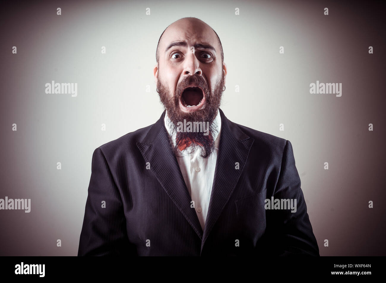 funny afraid elegant bearded man on vignetting background Stock Photo ...