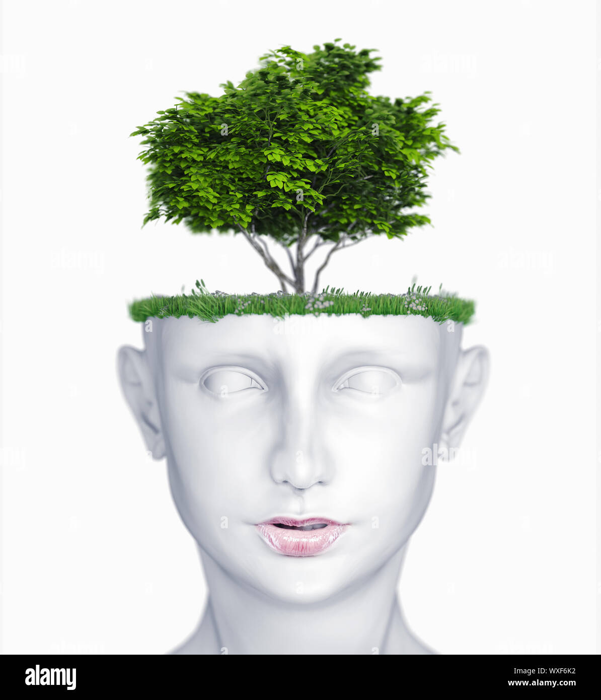 white human head with tree (3D concept Stock Photo - Alamy