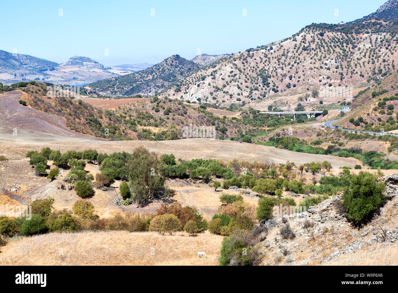 Montecorto hi-res stock photography and images - Alamy
