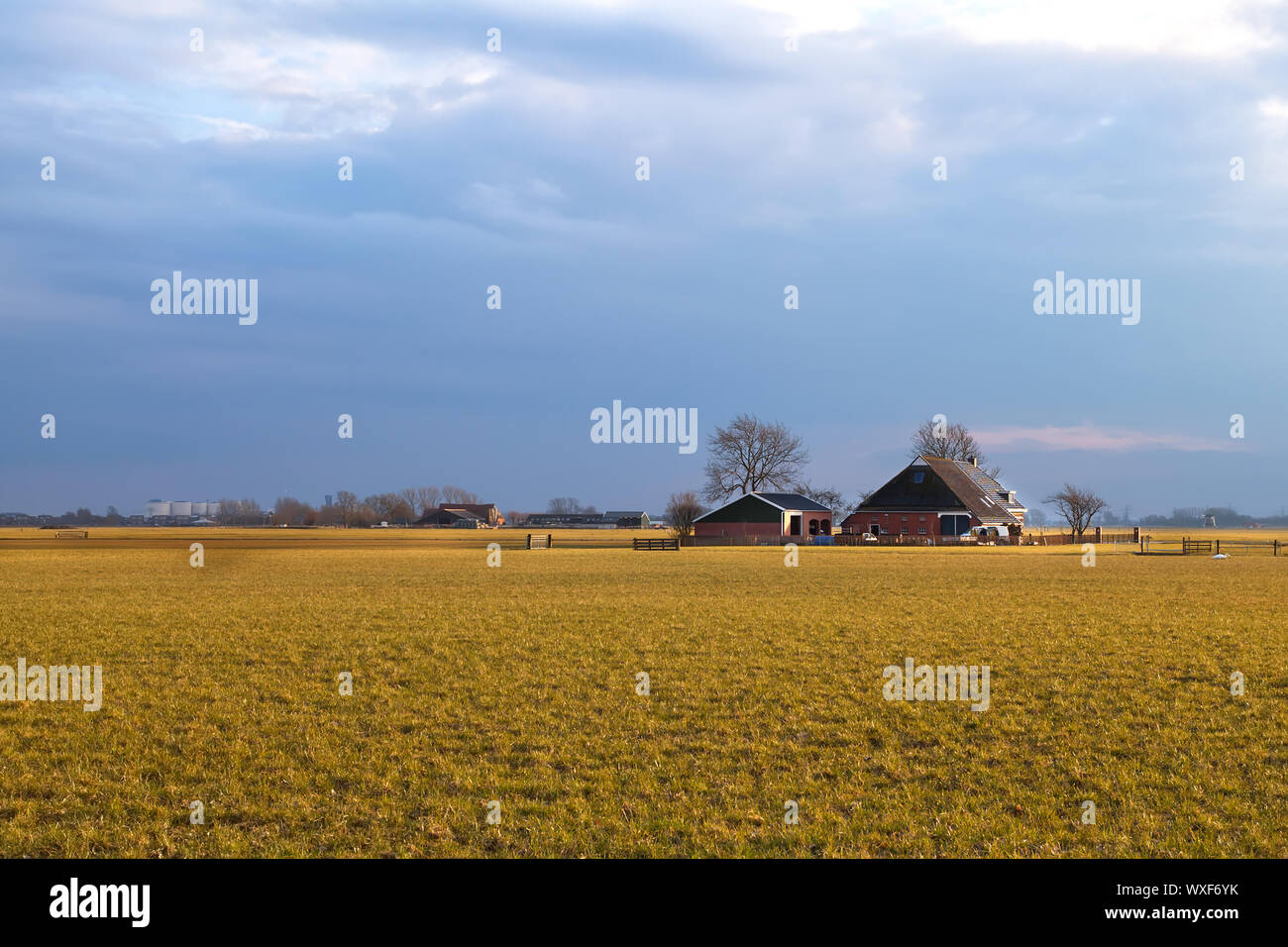 typical dutch farm before sunset, Holland Stock Photo - Alamy