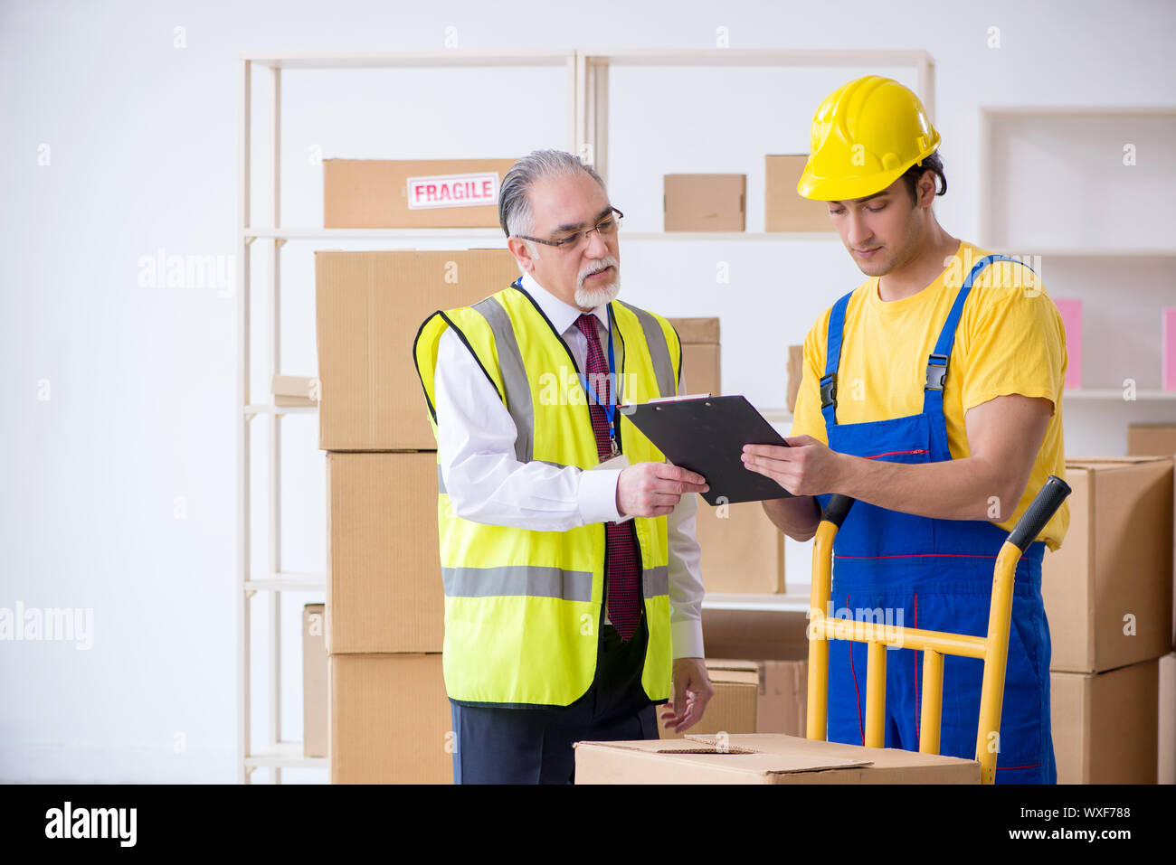 Professional movers doing home relocation Stock Photo - Alamy