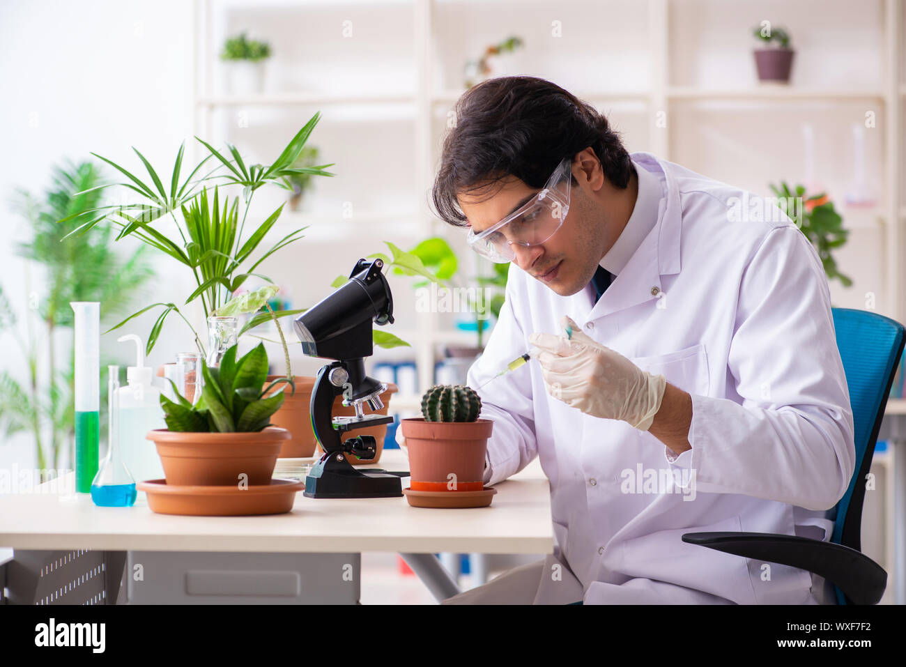 Biotechnology chemist working in lab Stock Photo - Alamy