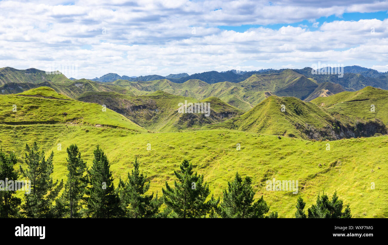 typical rural landscape in New Zealand Stock Photo - Alamy