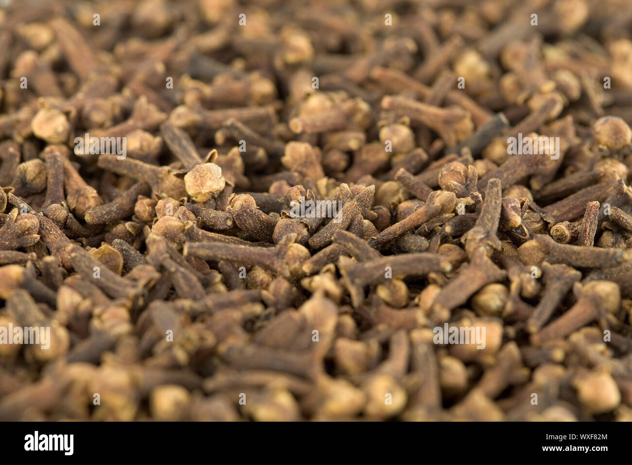 Brown small spice cloves background close up Stock Photo - Alamy