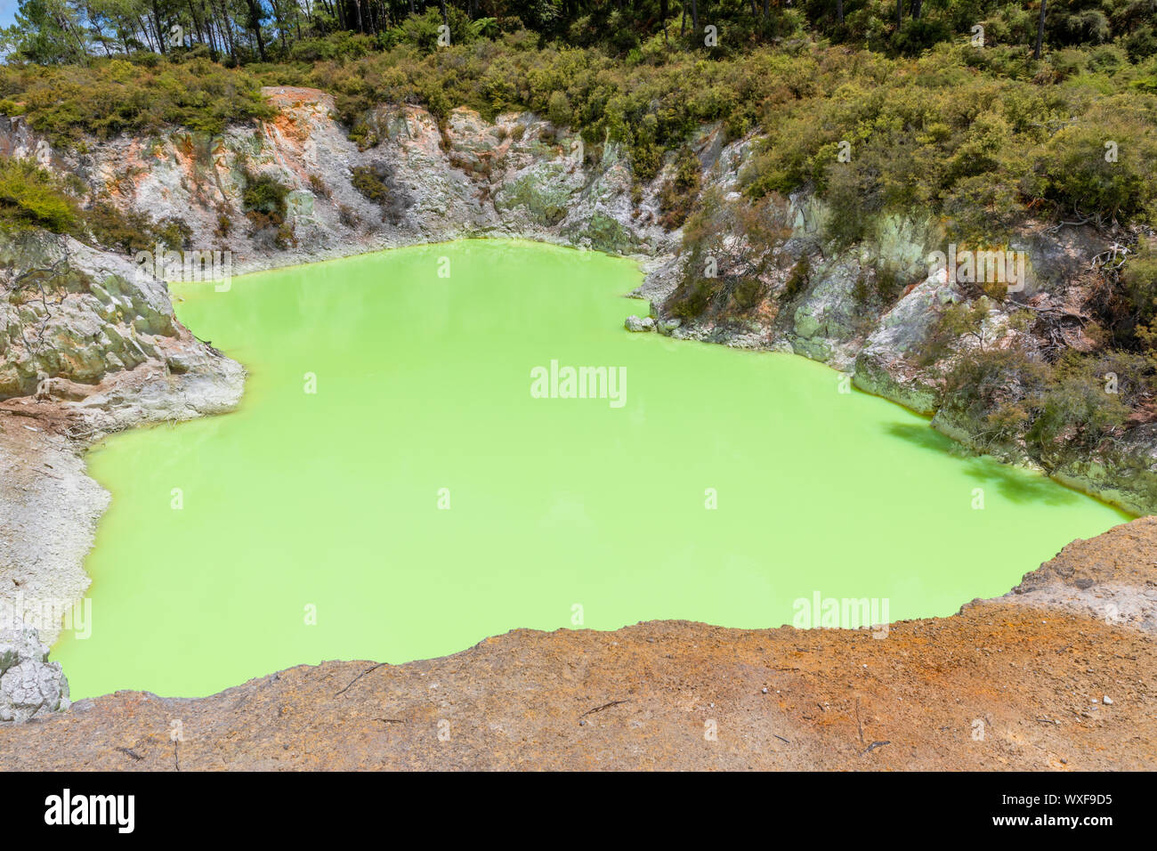 geothermal activity at Rotorua in New Zealand Stock Photo - Alamy
