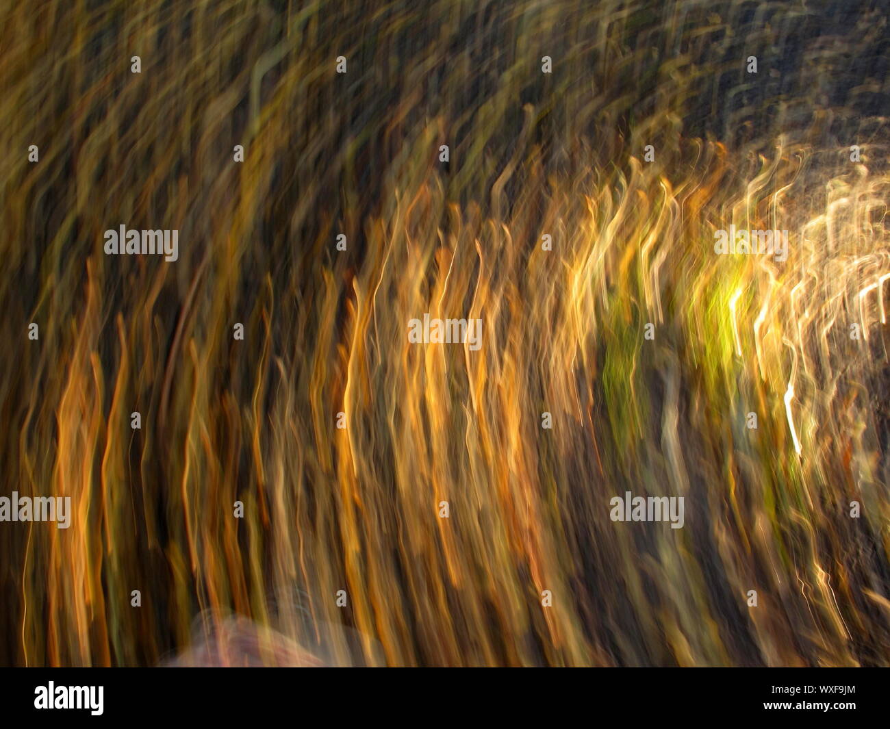 abstract walking image with sense of motion and movement, a shoe, ray ...