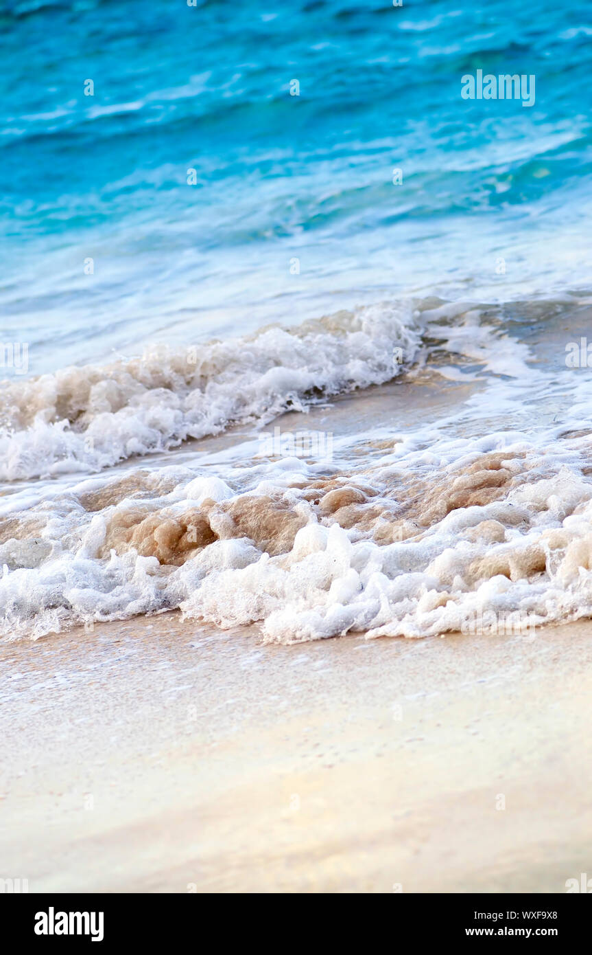 Tropical Caribbean sea waves breaking on the shore Stock Photo - Alamy