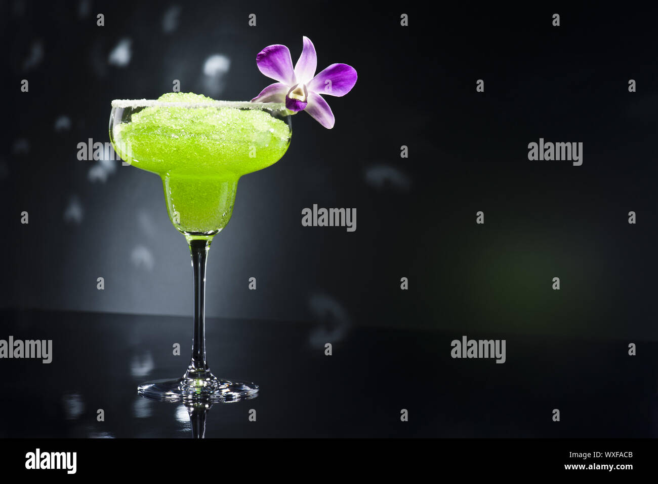 Mexican Orchid High Resolution Stock Photography and Images - Alamy