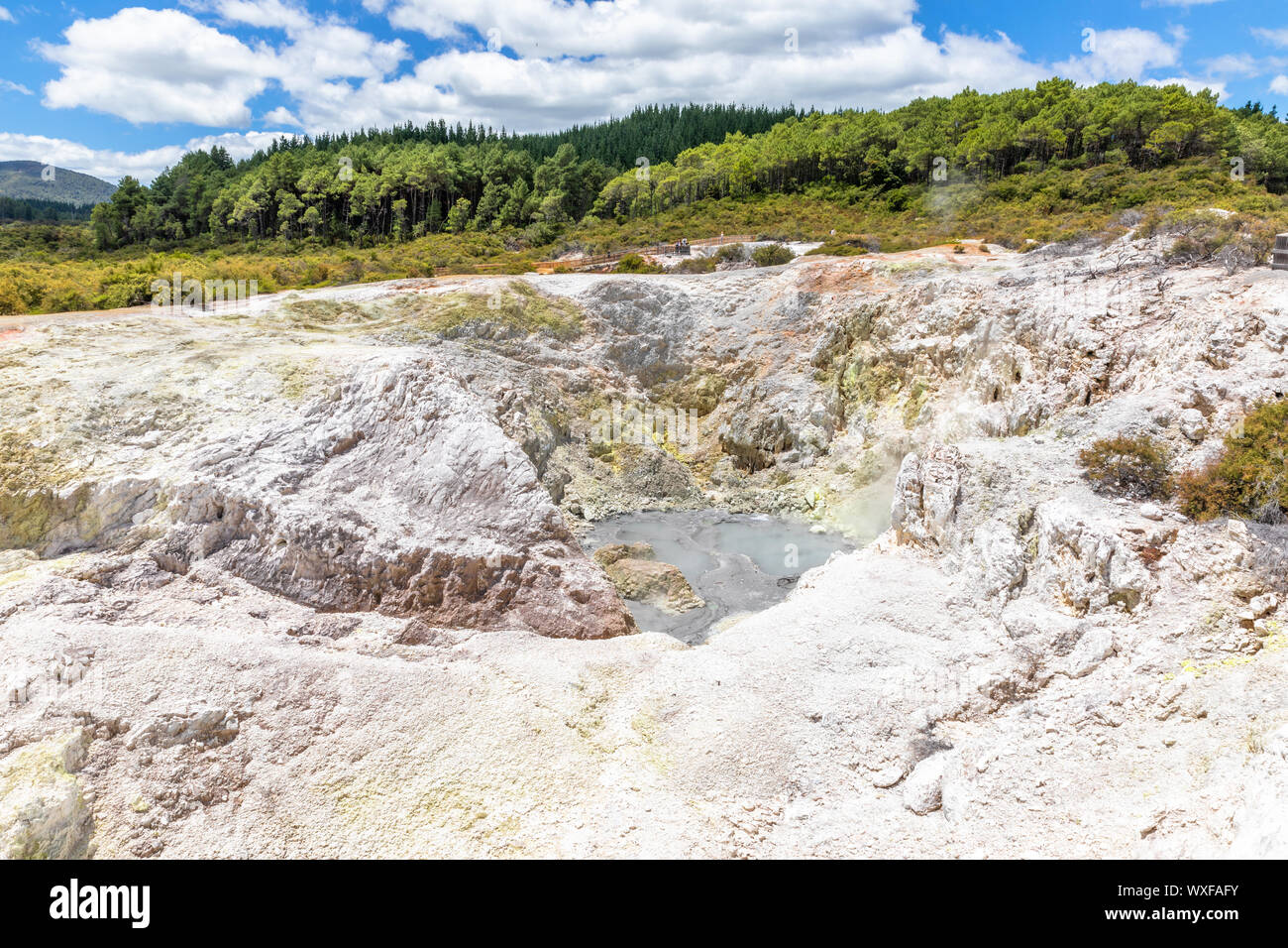 geothermal activity at Rotorua in New Zealand Stock Photo - Alamy