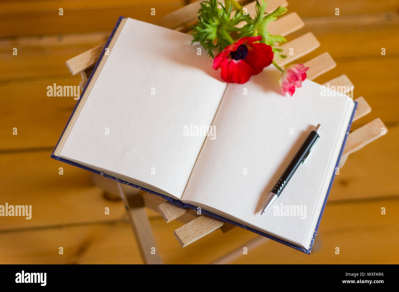 Empty book with pencil to write Stock Photo - Alamy