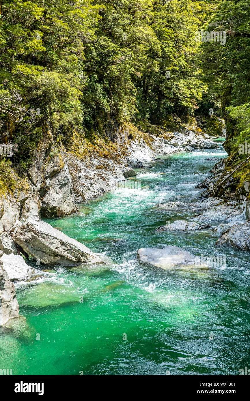 Haast River Landsborough Valley New Zealand Stock Photo - Alamy