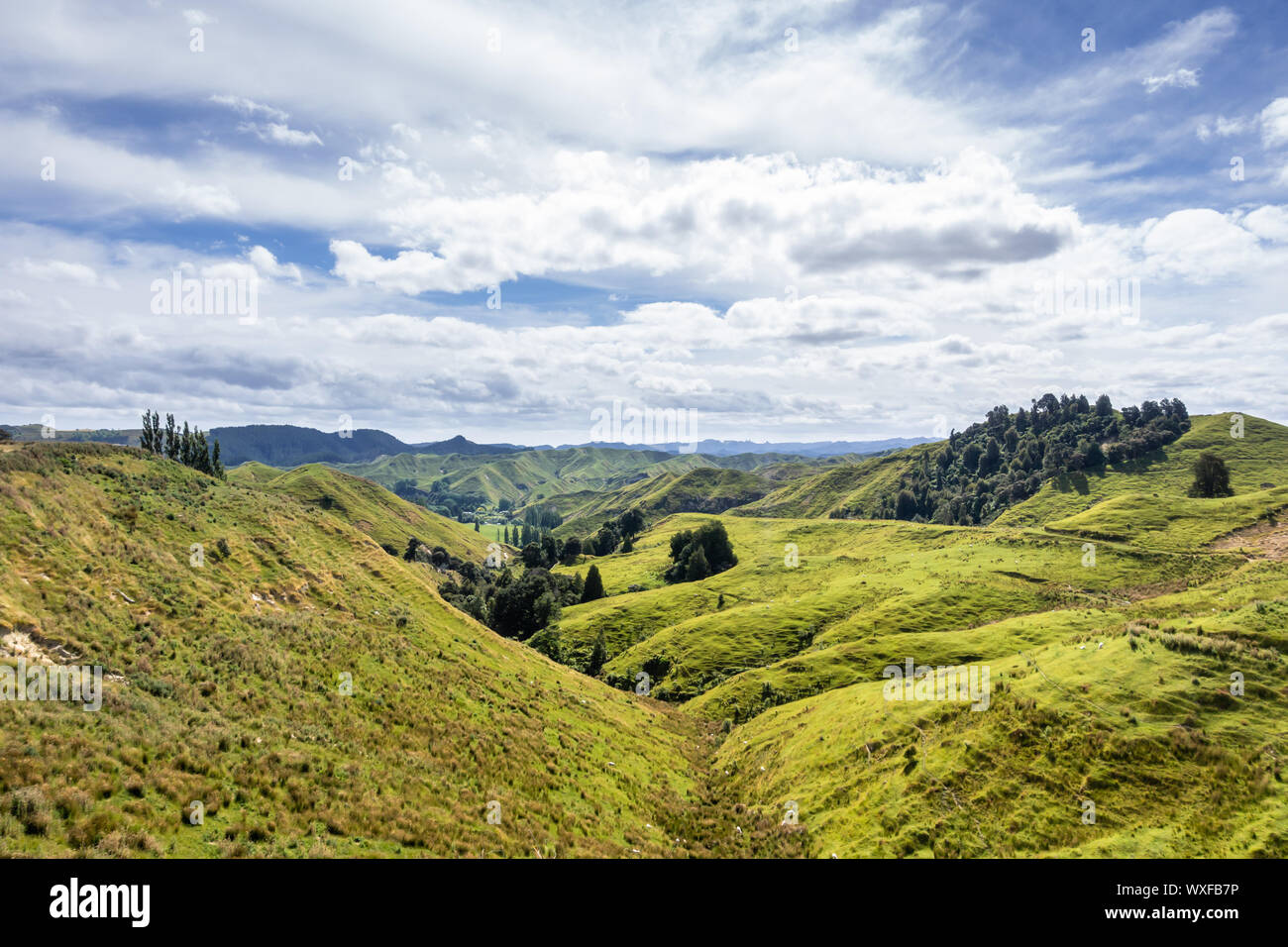 Landscape in new zealand hi-res stock photography and images - Alamy