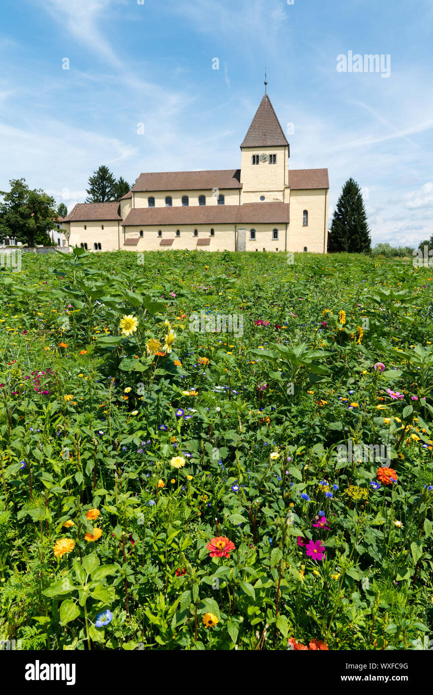 the church of St. Georg on Reichenau island on Lake Constance with ...