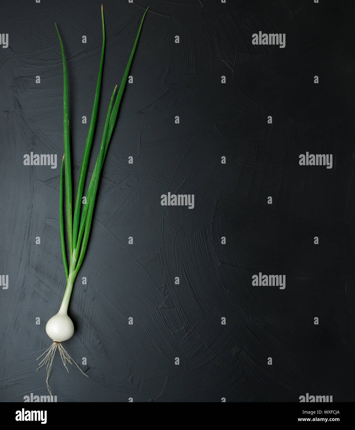 TEXTURE RELIEF SURFACE WITH GREEN ONIONS. UNEVEN BACKGROUND WITH FRESH ...