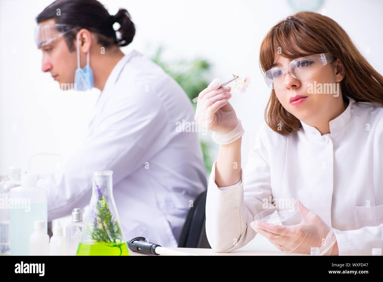 Two chemists working in the lab Stock Photo - Alamy