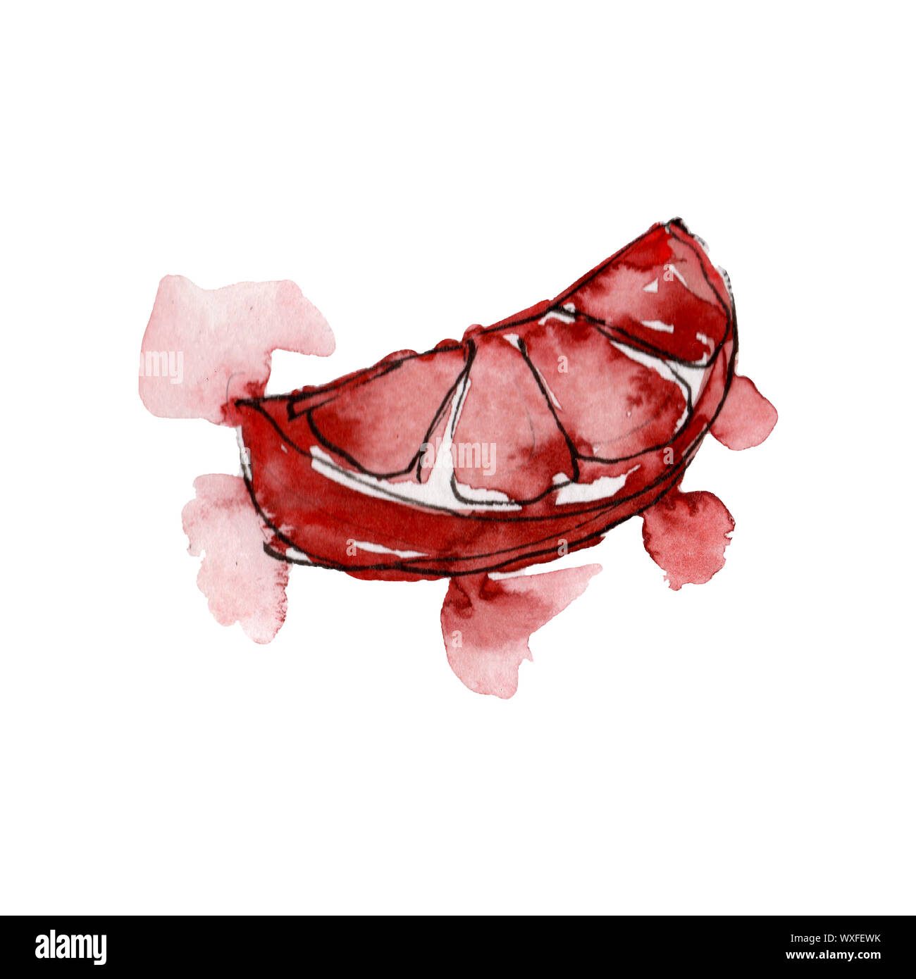 Tomato slice fresh vegetable isolated. Watercolor background ...