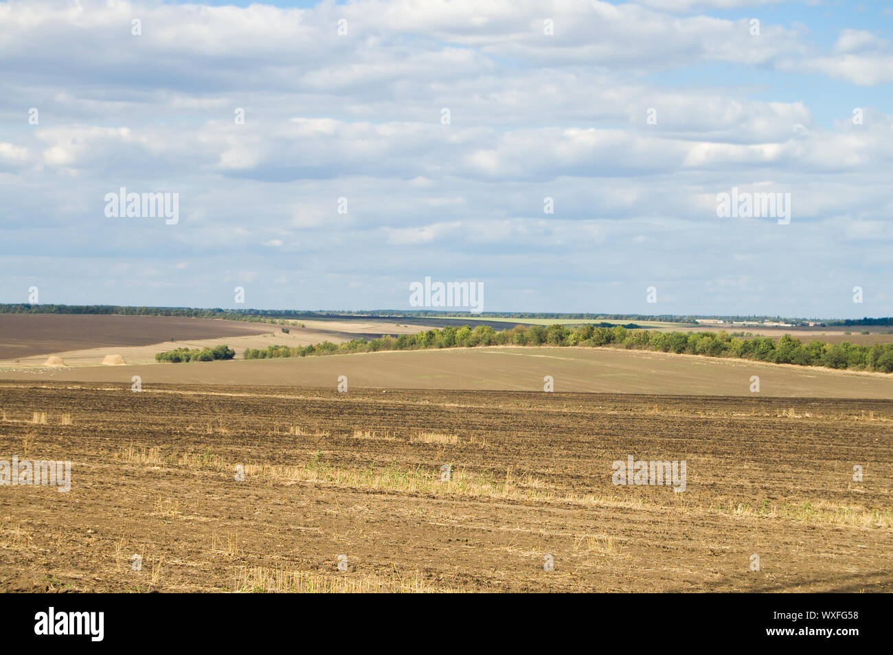 rural view after harvesting on plough-land Stock Photo - Alamy