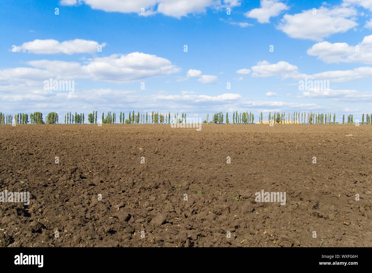 rural view after harvesting on plough-land Stock Photo - Alamy