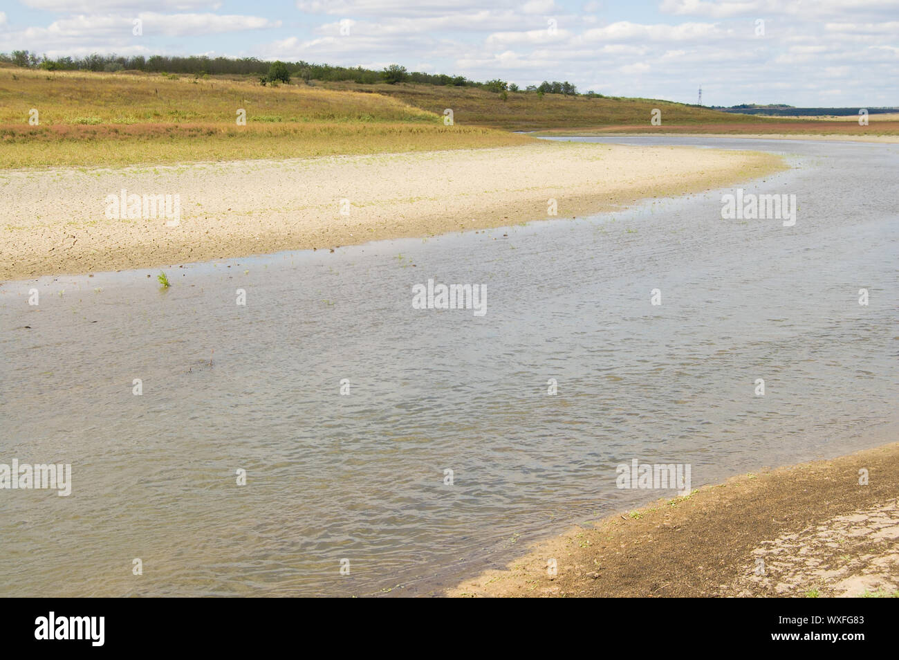 Beautiful bush in steppe area hi-res stock photography and images - Alamy