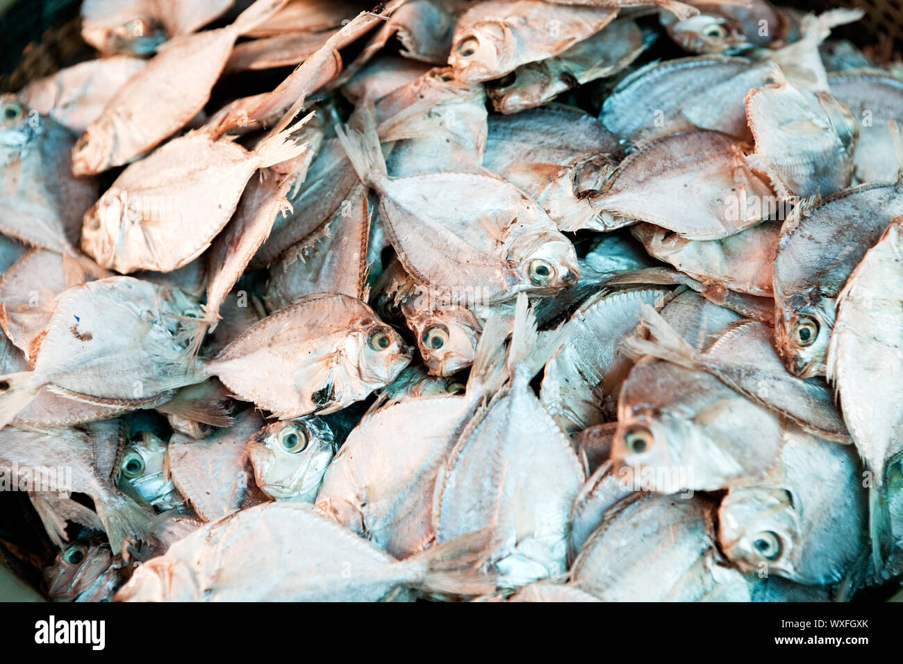 Dried Fish Background Stock Photo - Alamy