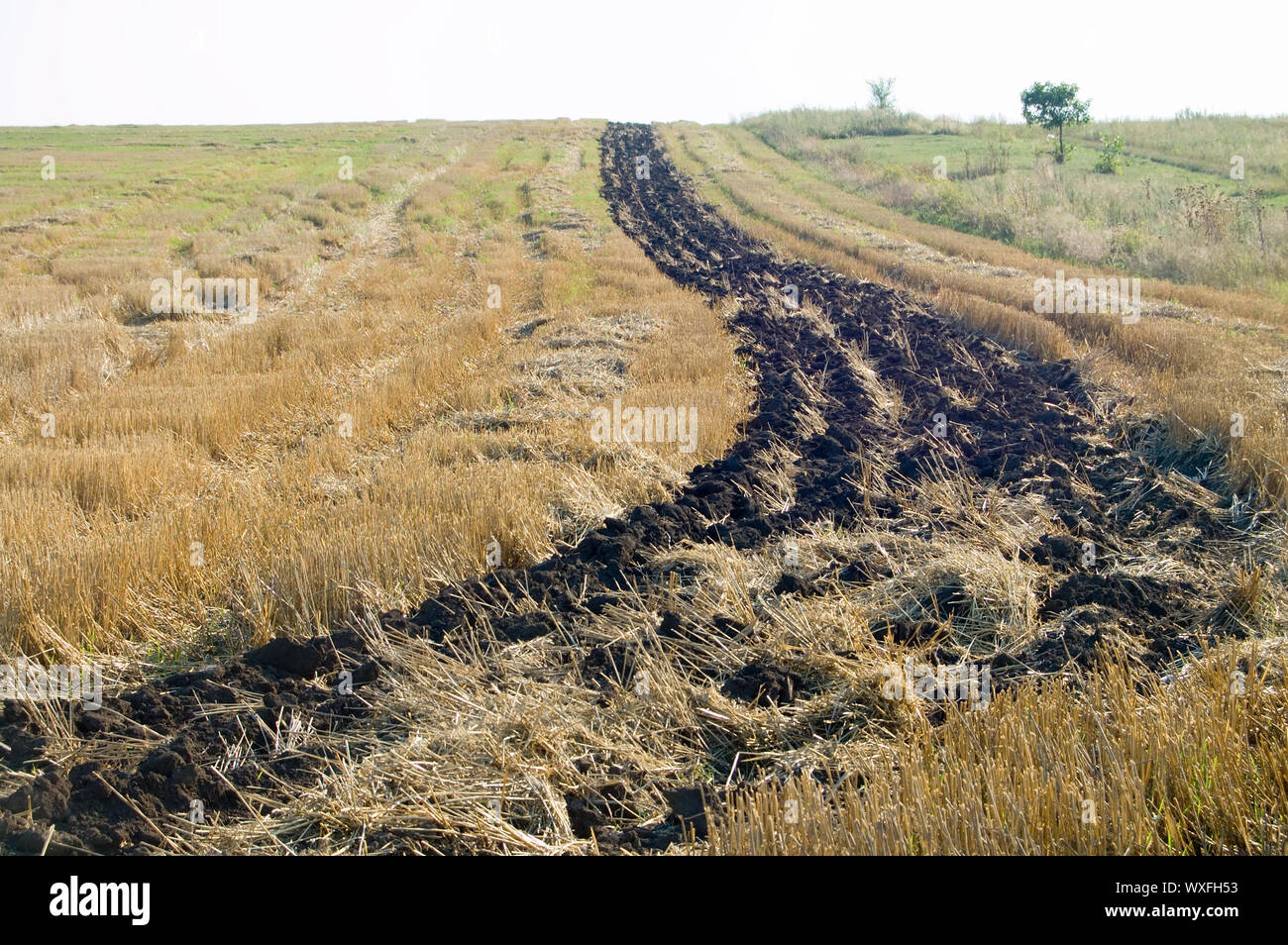 fallow bar of black earth on the field after a harvest Stock Photo - Alamy