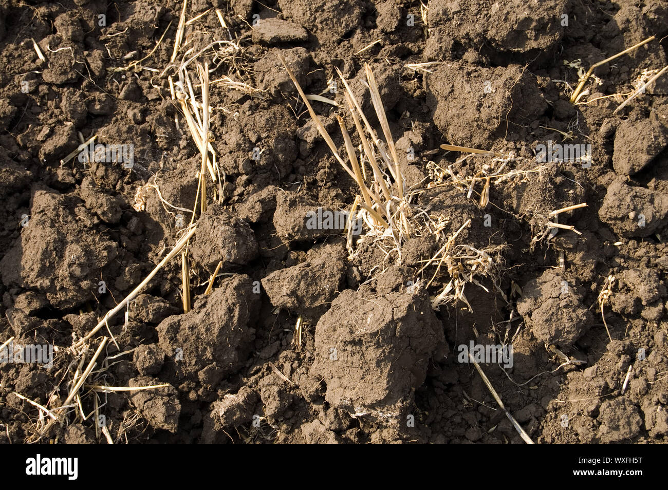 view of black earth arid soil as texture Stock Photo - Alamy