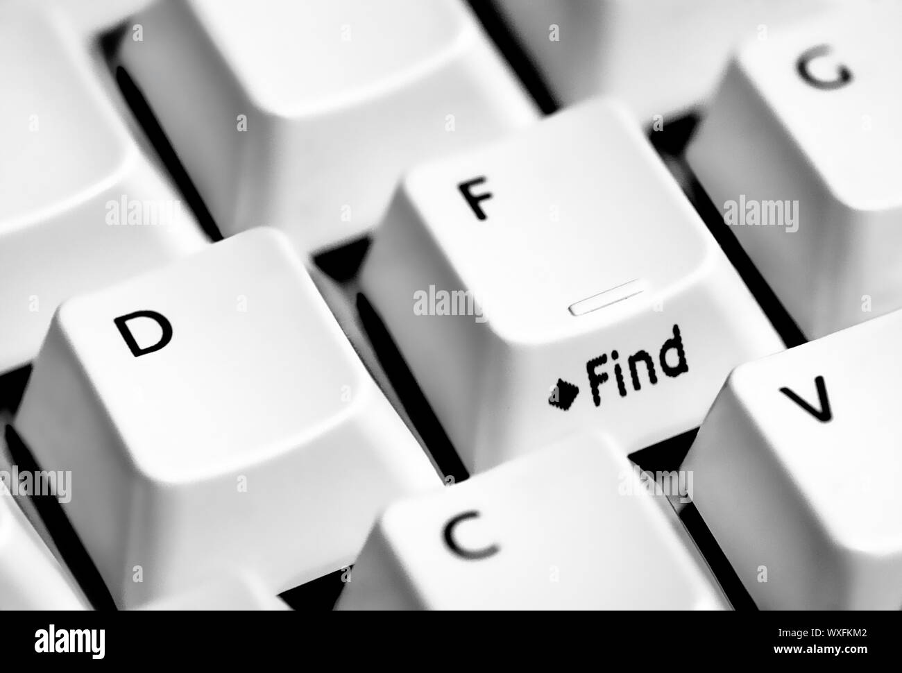 Most Searched Stock Photos & Most Searched Stock Images - Alamy