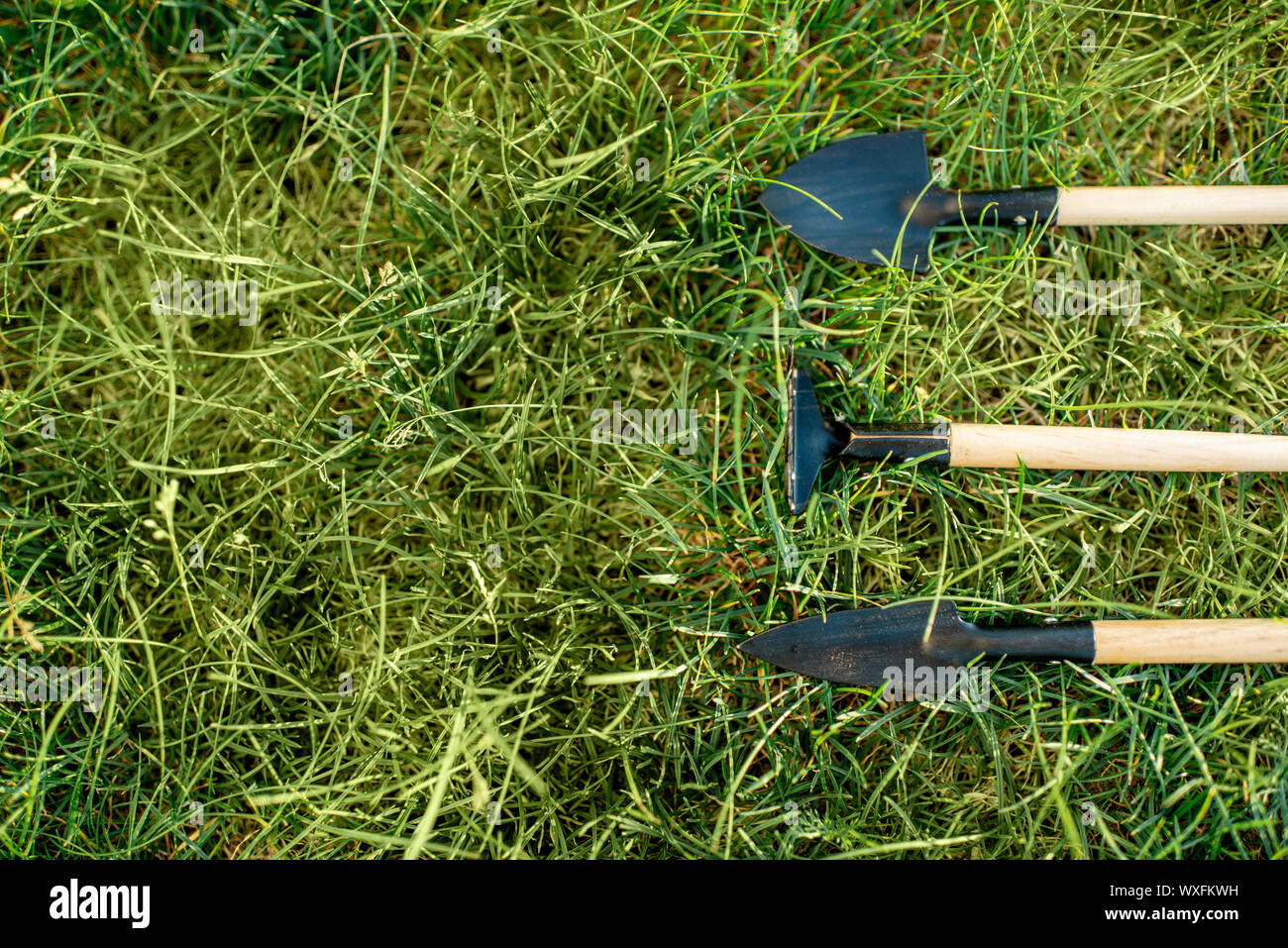 Small garden tools on the grass Stock Photo - Alamy