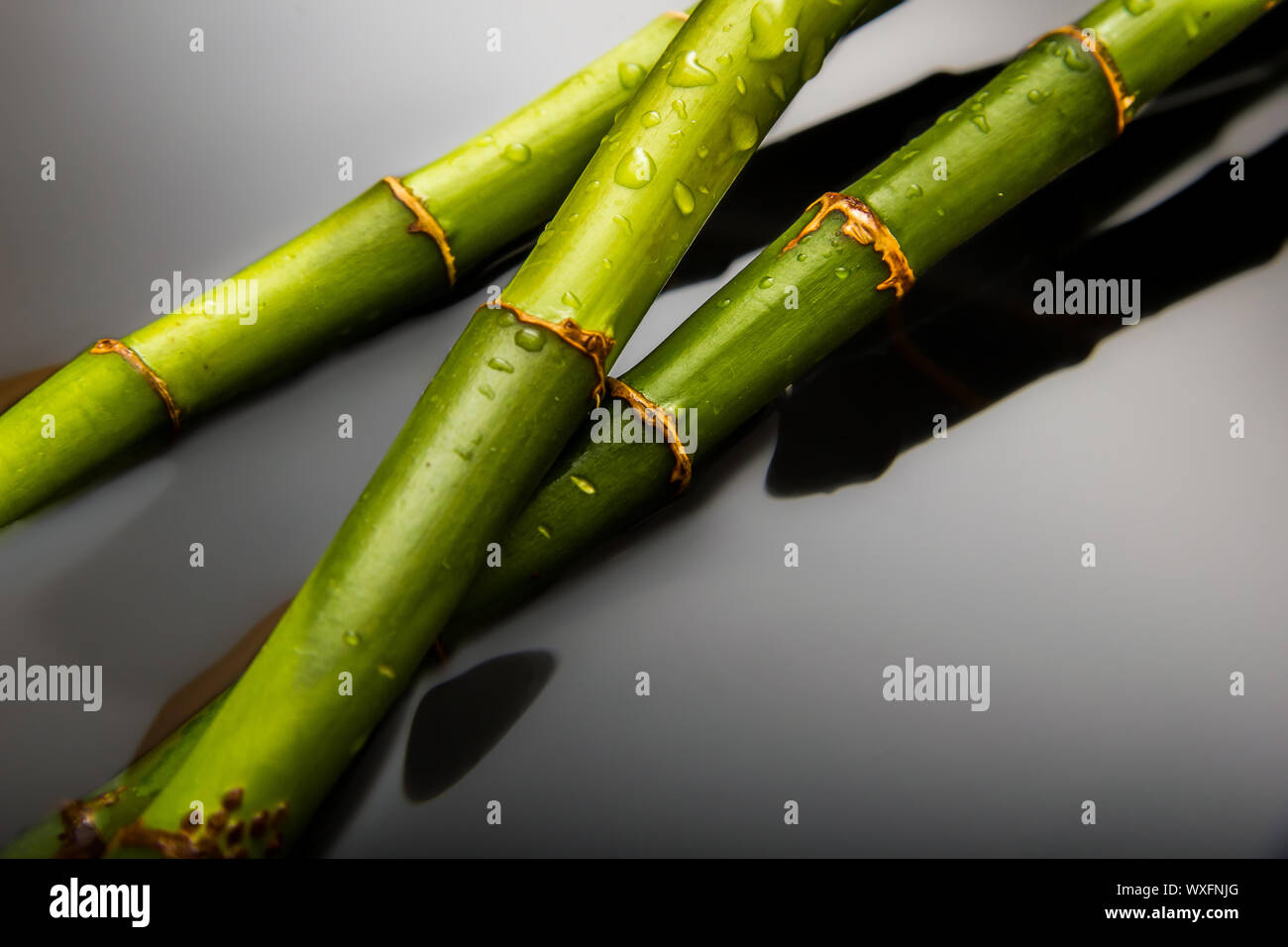 Three colored bamboo hi-res stock photography and images - Alamy