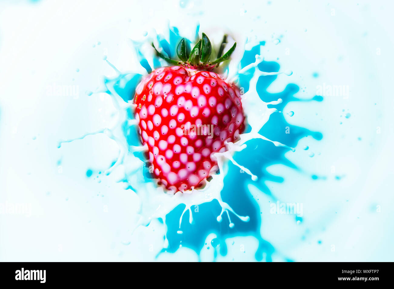 Flash exposure of a strabwerry splash in milk Stock Photo - Alamy