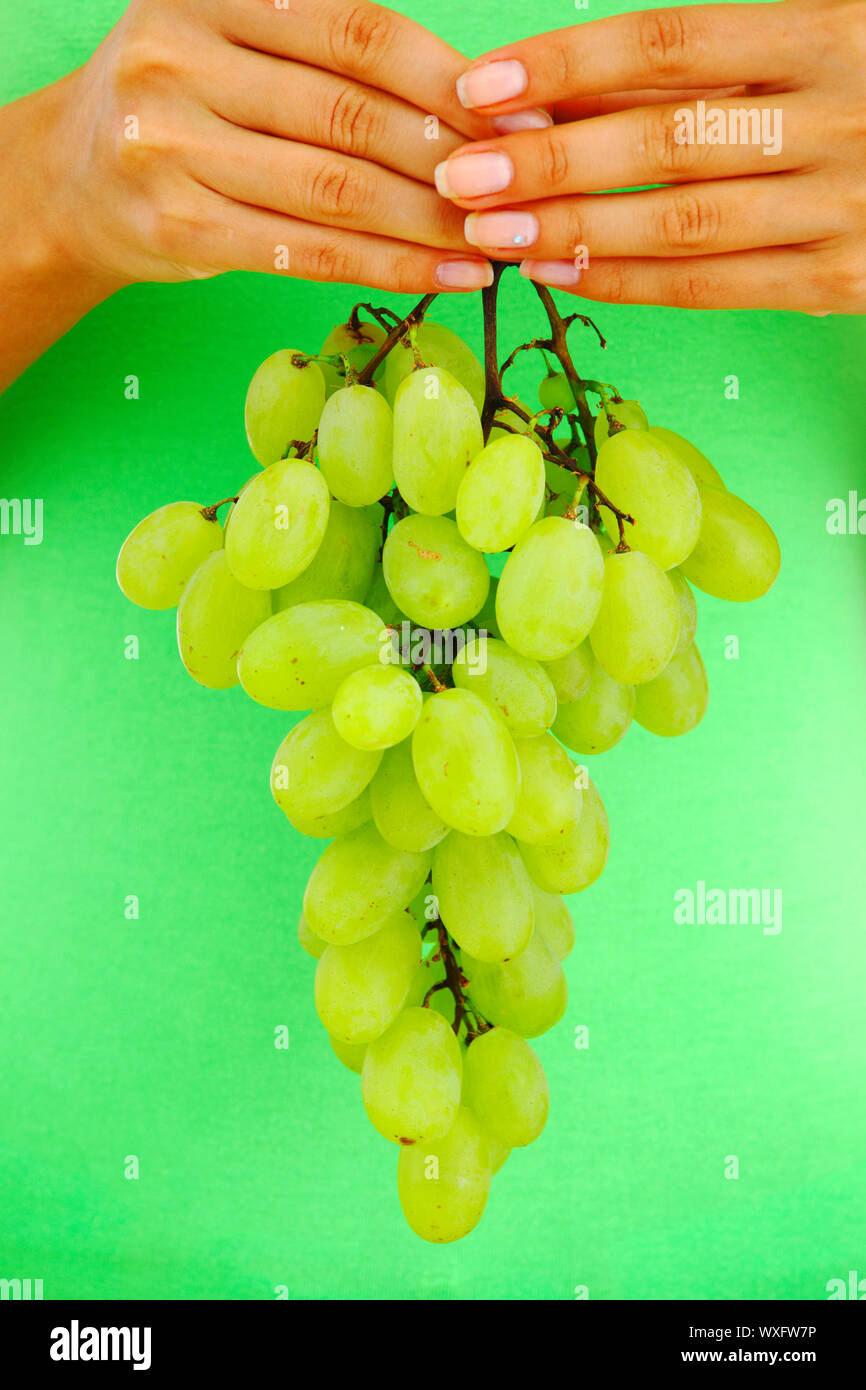 Grape harvest closeup human hands hi-res stock photography and images ...