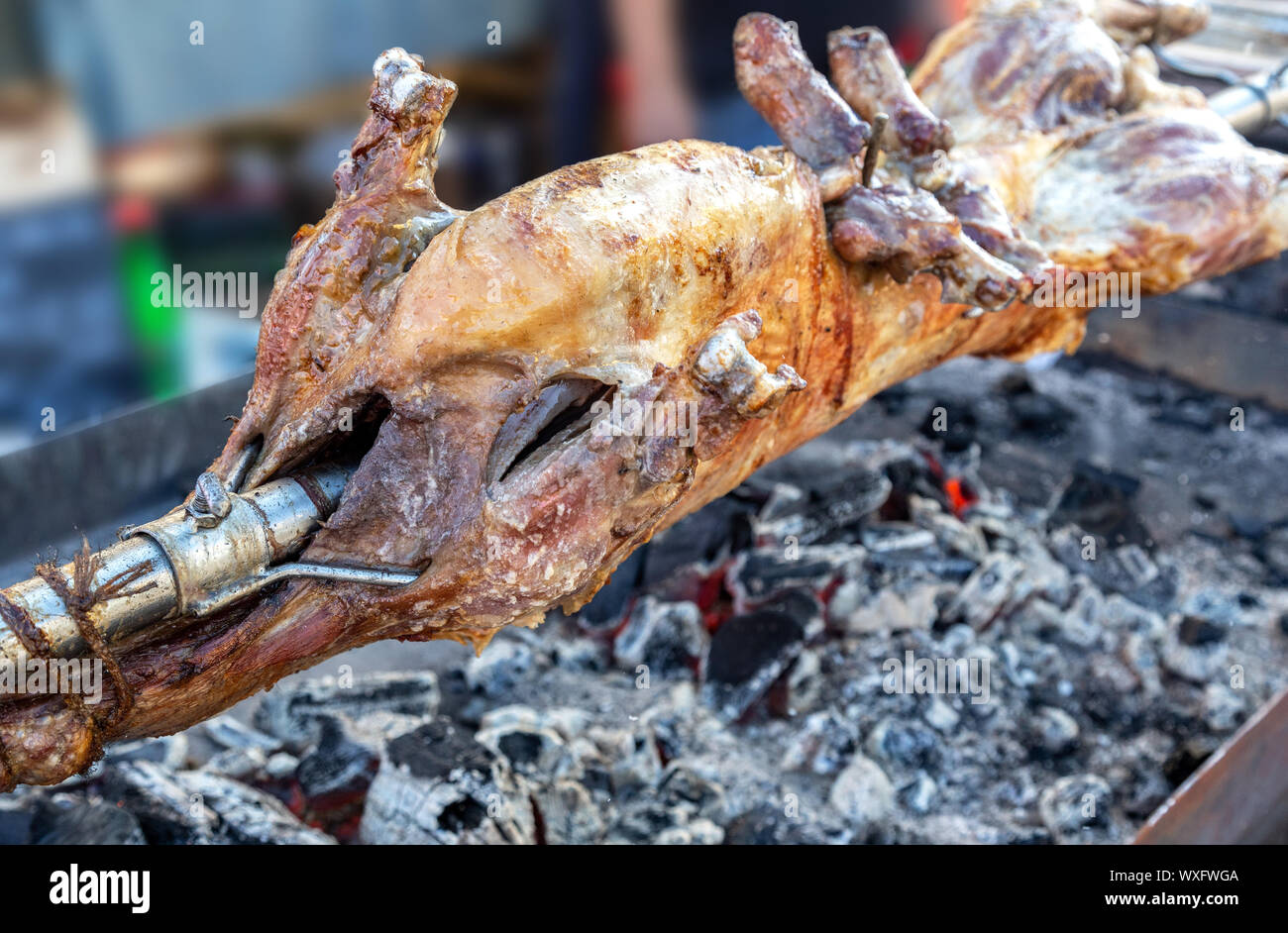Cooking lamb carcass on a spit over hot charcoals outdoors during the ...
