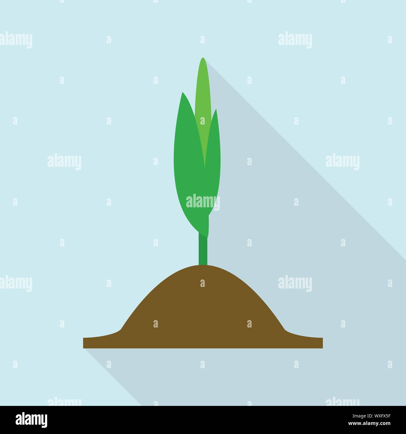 Corn plant icon. Flat illustration of corn plant vector icon for web ...