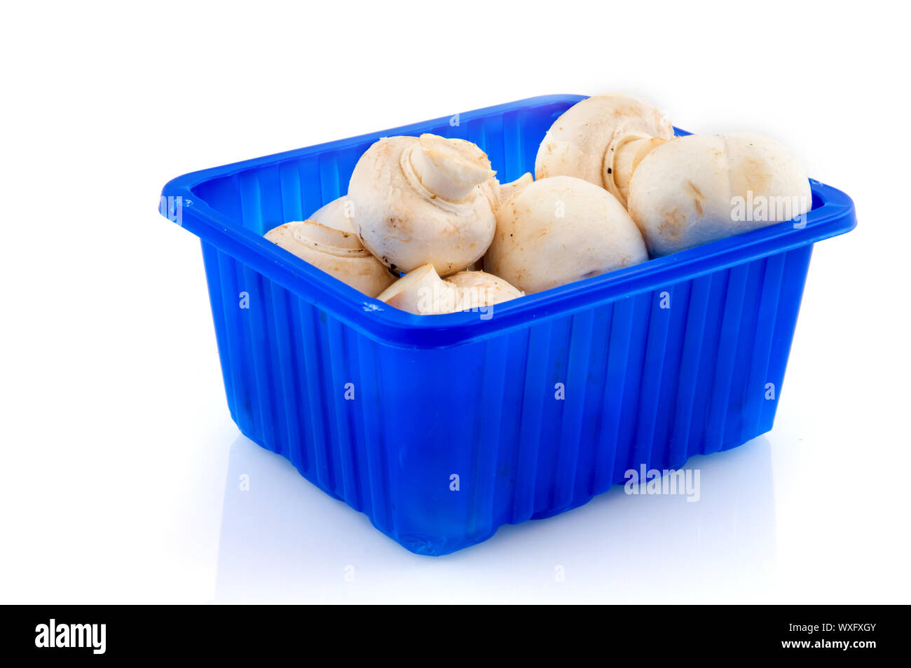 Plastic box of mushrooms Cut Out Stock Images & Pictures - Alamy