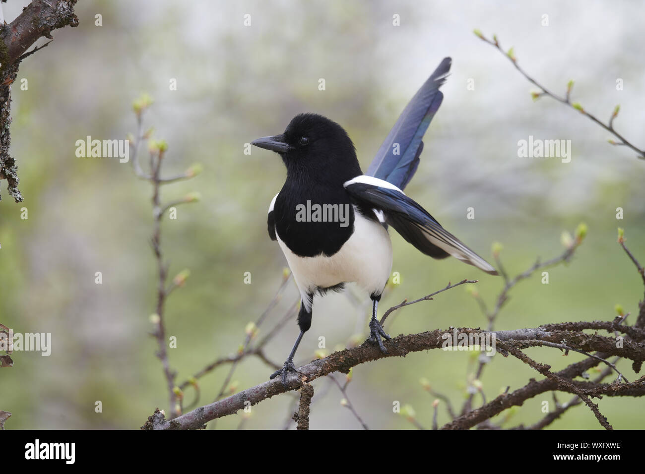 Colours images hi-res stock photography and images - Alamy