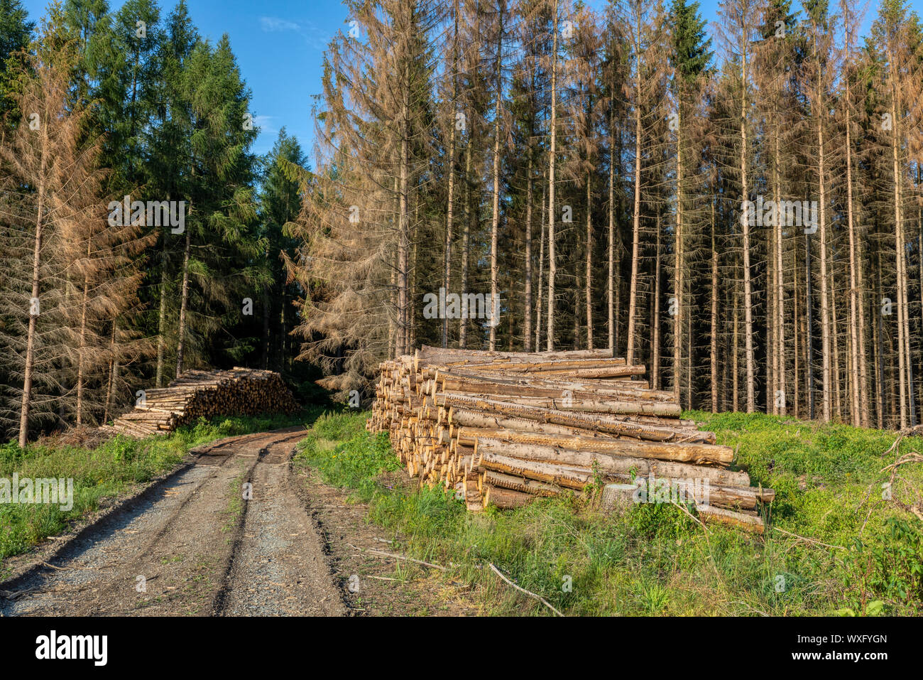 Sustainability harvested hi-res stock photography and images - Alamy