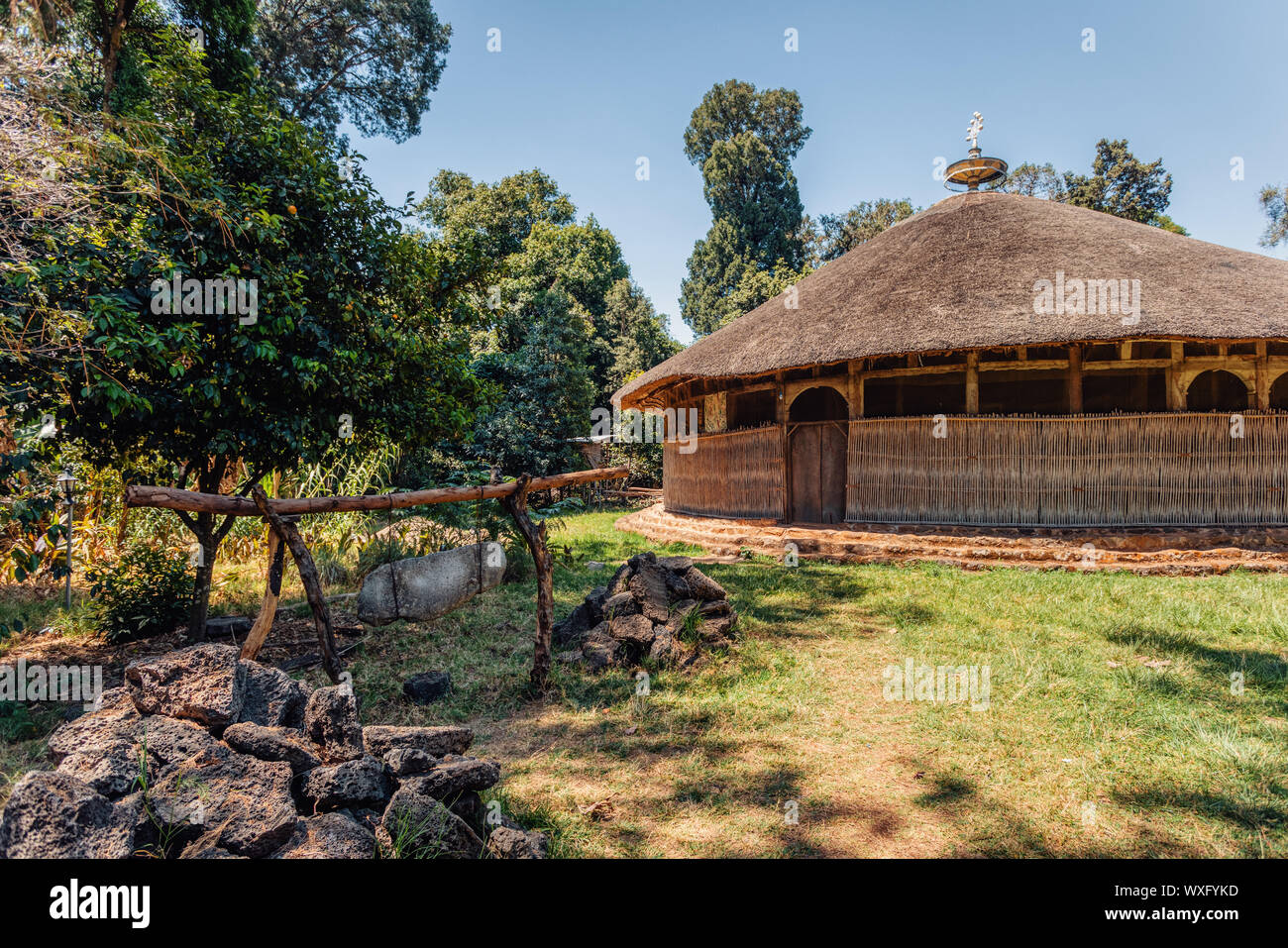 Ethiopian tree hi-res stock photography and images - Alamy