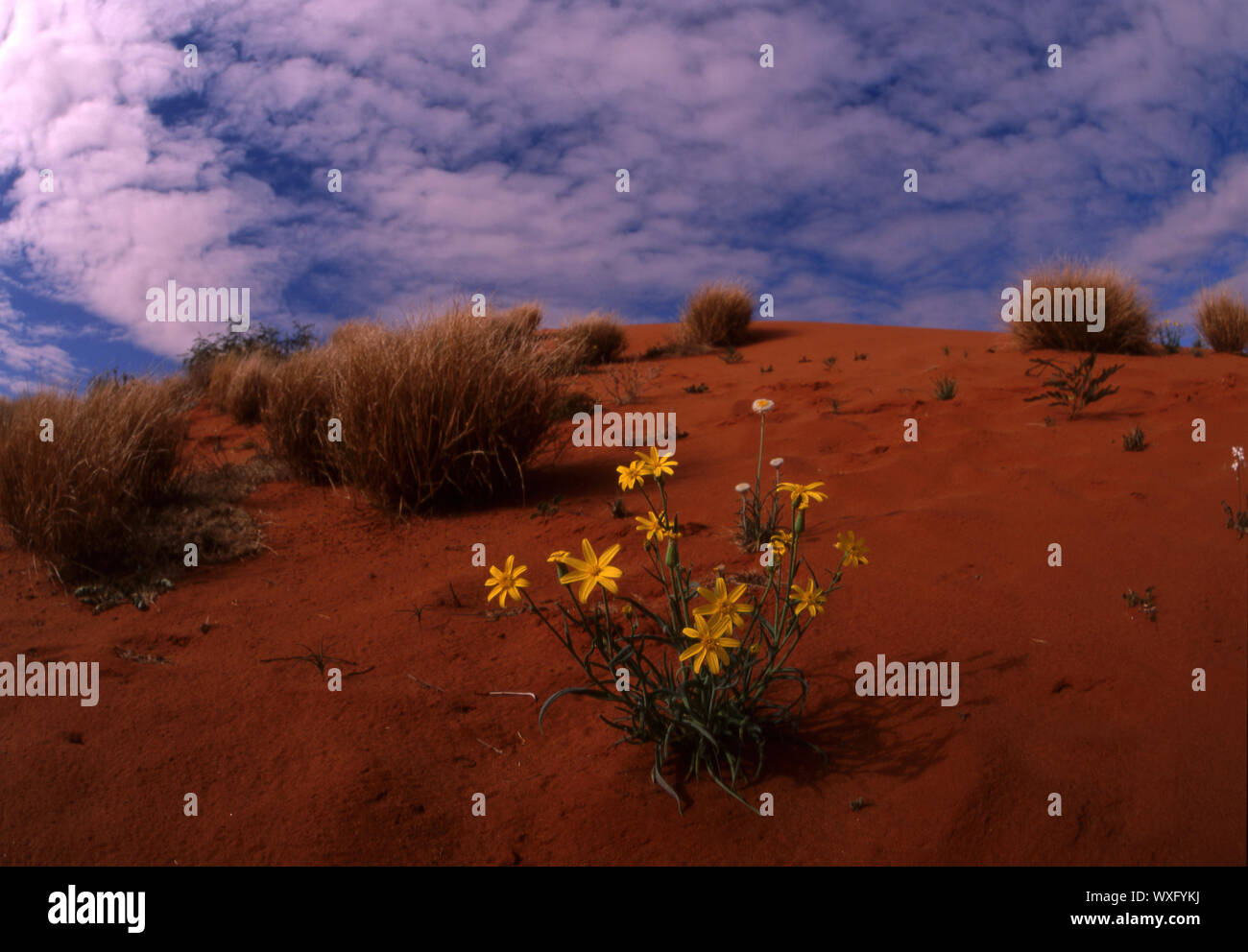 Gas sand hi-res stock photography and images - Alamy