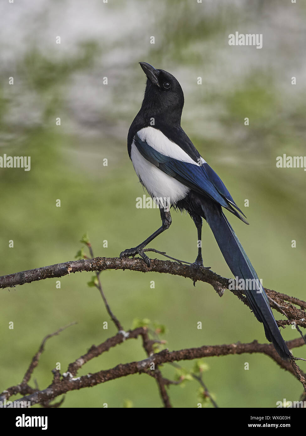 Colours images hi-res stock photography and images - Alamy