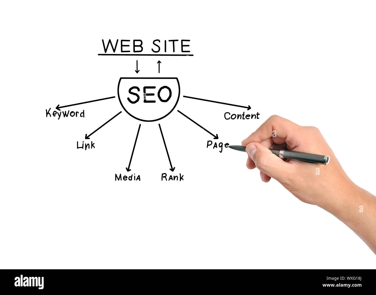 hand drawing seo scheme on a white background Stock Photo - Alamy