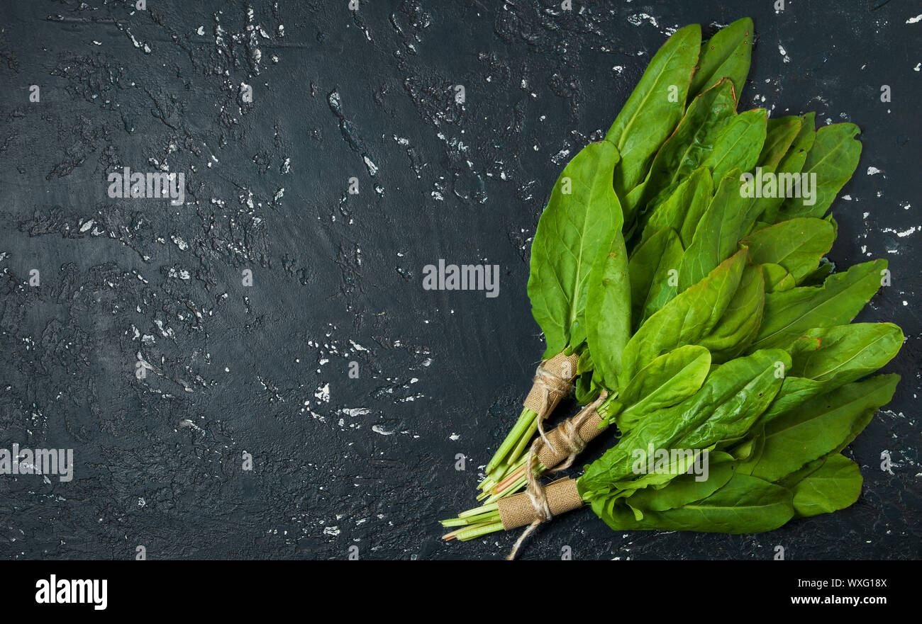 Sorrel leaves hi-res stock photography and images - Alamy